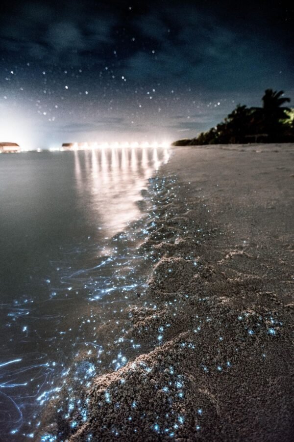 Glowing Maldives - Bioluminescence Beaches in The Maldives